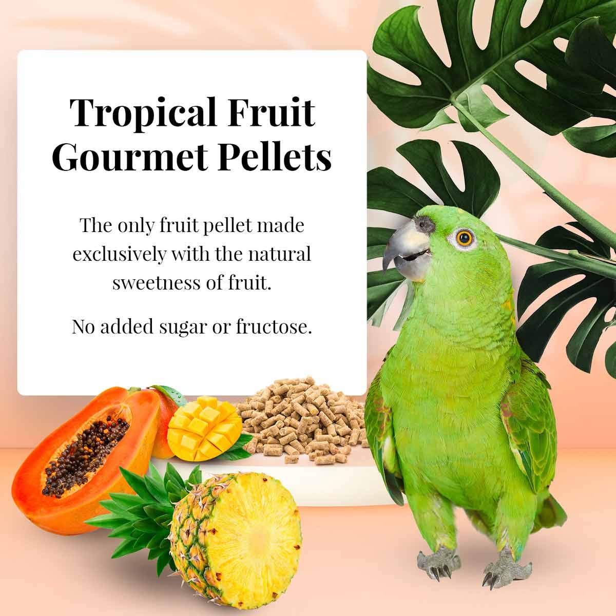 Lafeber´s Parrot Tropical Fruit Gourmet graanultoit 1,8 kg